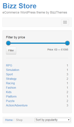 Best WordPress Business Themes – BizzThemes™